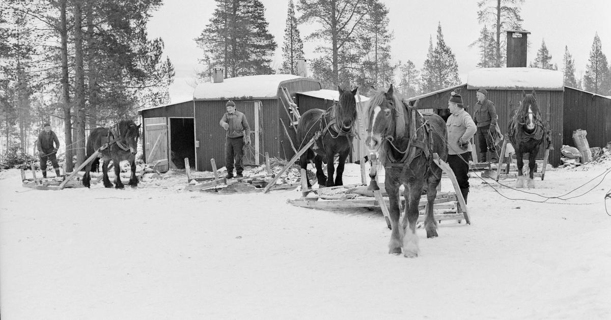 Digitaliserte bilder fra arkivet