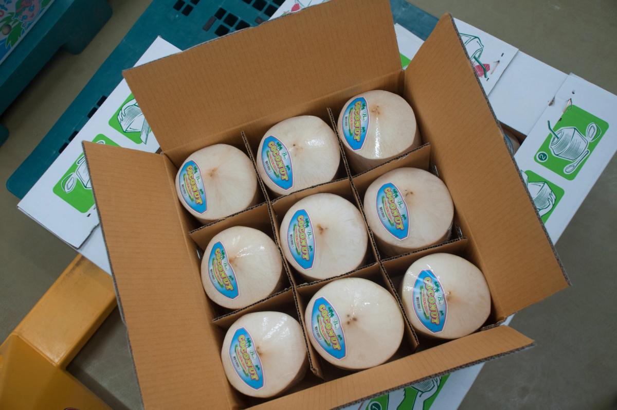 Premium Grade & Organic Nam Hom Coconut Water | K-Fresh