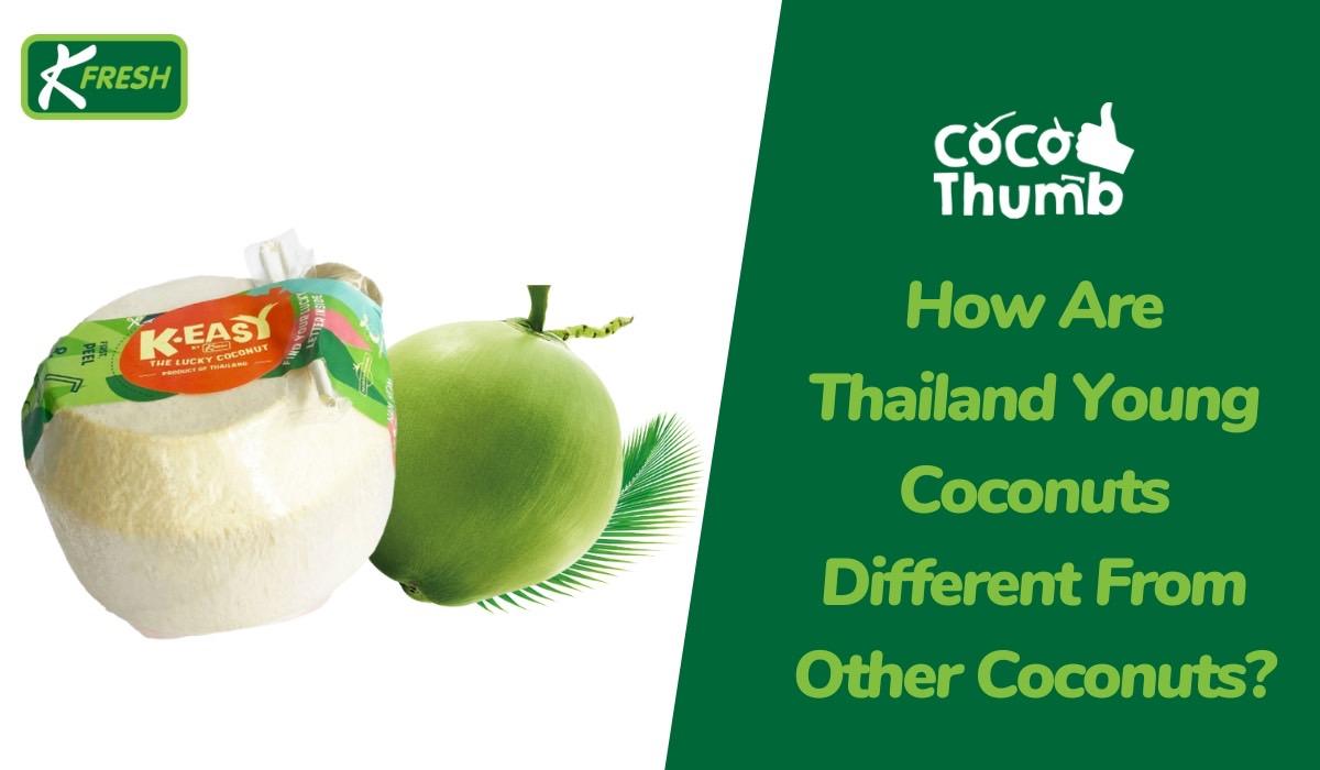 The Top Health Benefits of Thailand Young Coconuts