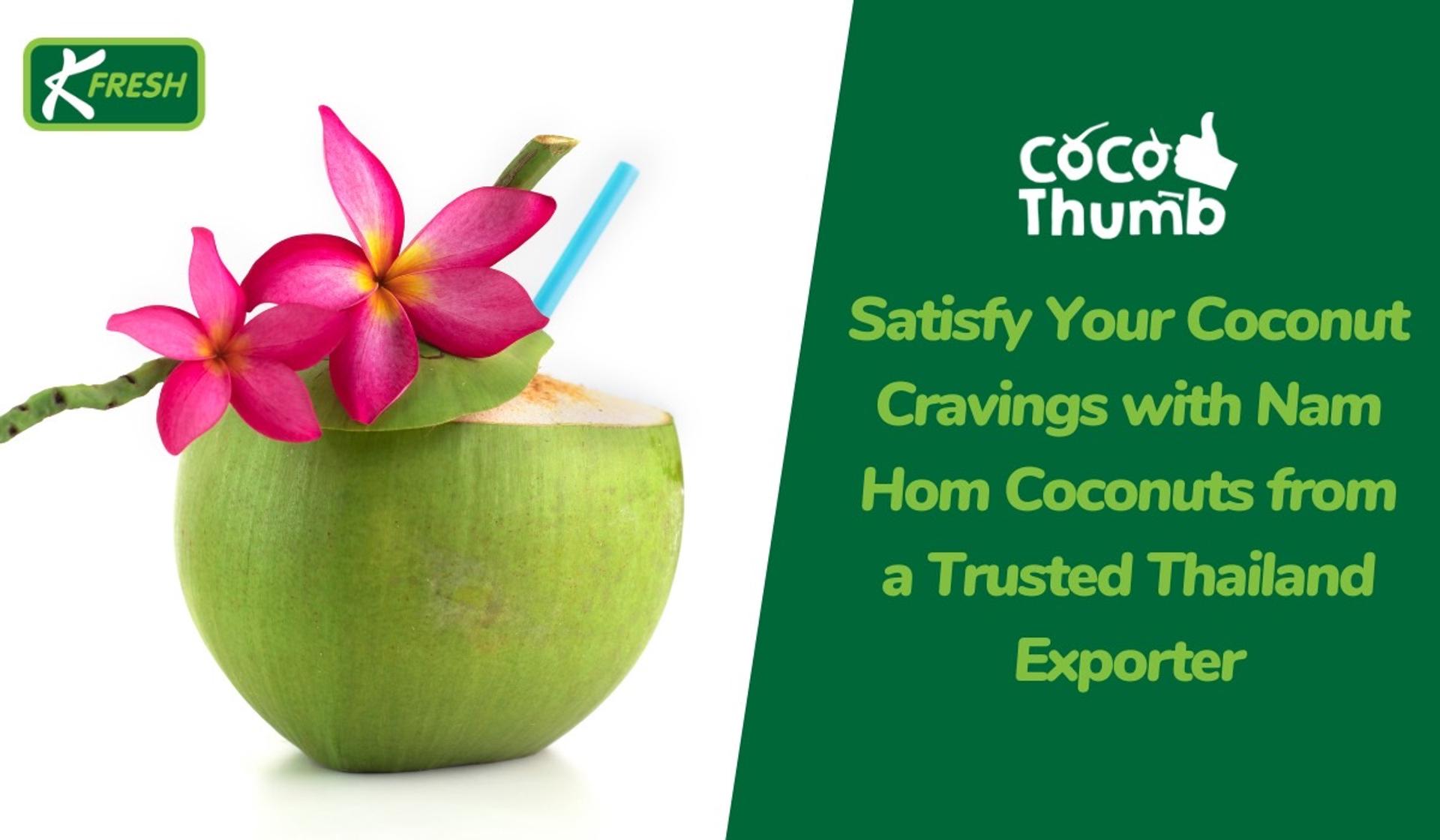 Satisfy Your Coconut Cravings with Nam Hom Coconuts from a Trusted ...