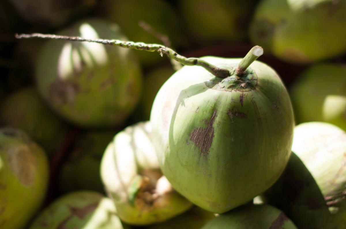 About Us | Exporter of Coconut Water From Thailand | K-Fresh