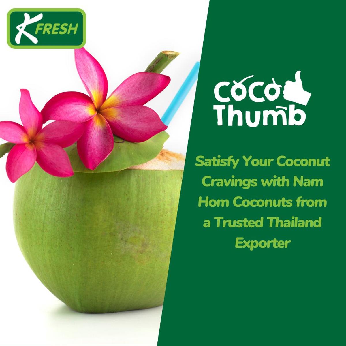 Satisfy Your Coconut Cravings with Nam Hom Coconuts from a Trusted ...
