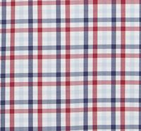 Holly Berry Coastal Plaid
