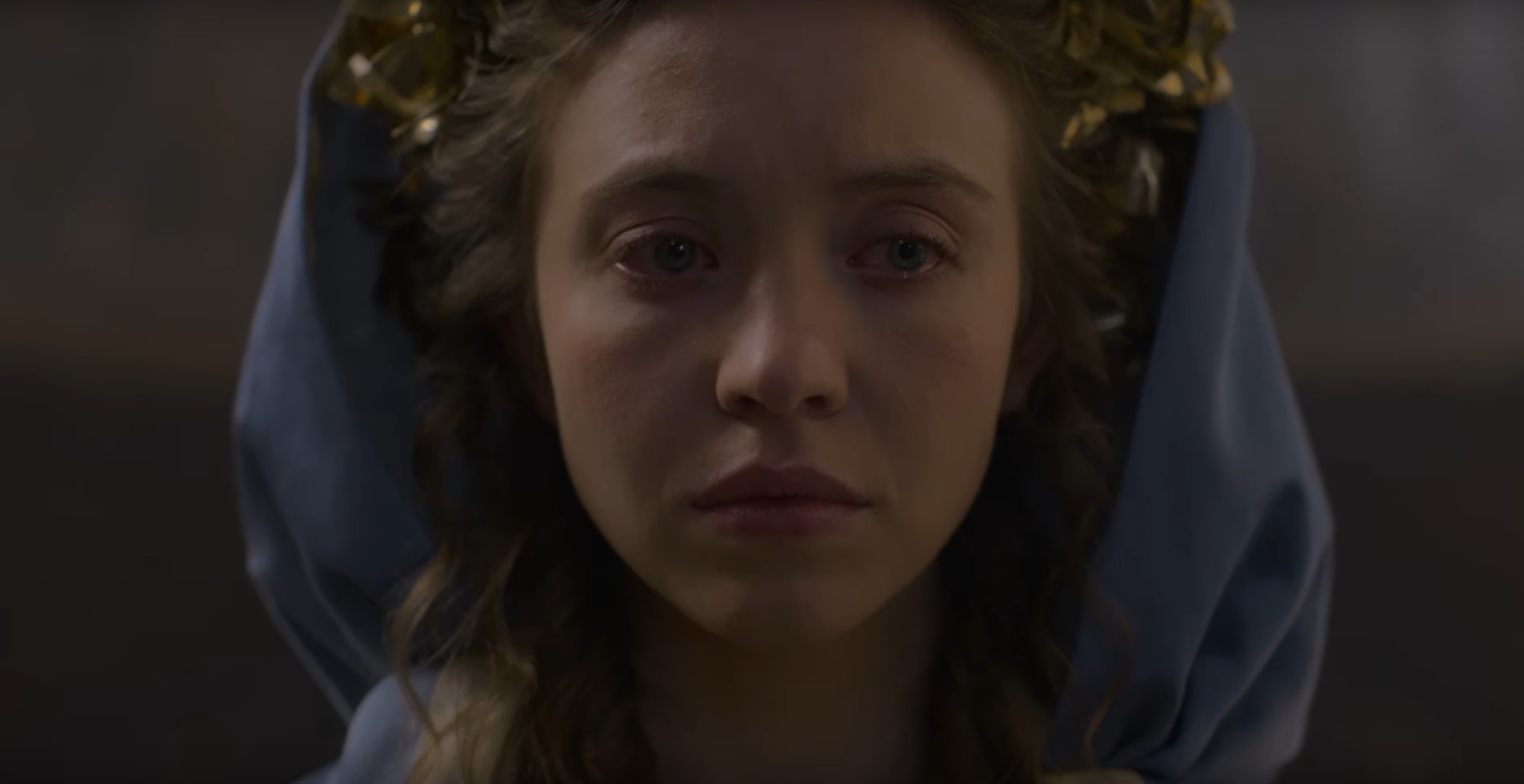 Immaculate | Black Bear