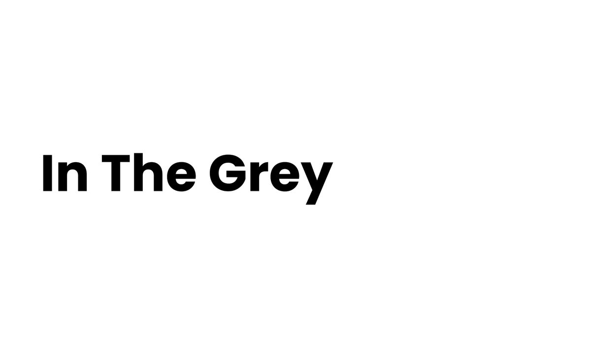 In The Grey | Black Bear