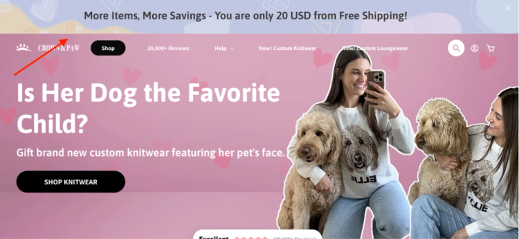 9 Sticky Bar Examples You Need to See (& Free Sticky Bar Templates)