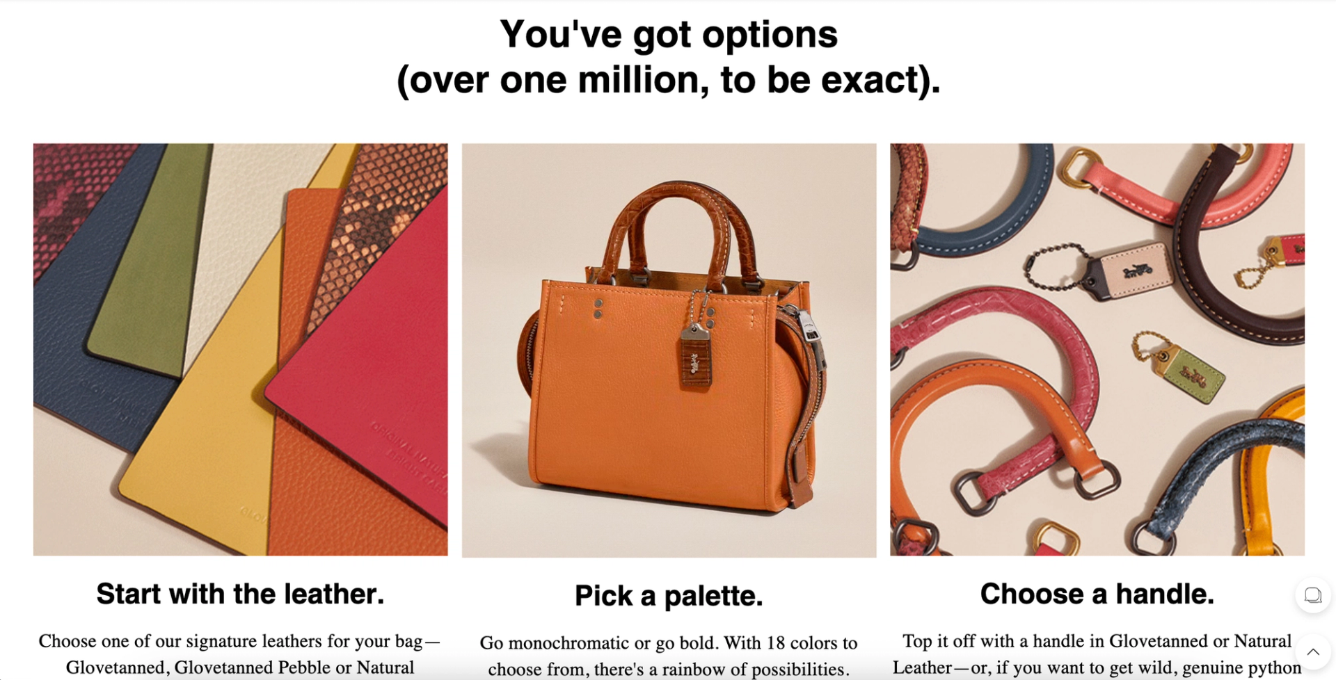 Coach Brand Marketing: Winning Strategies for Luxury, Digital Growth ...