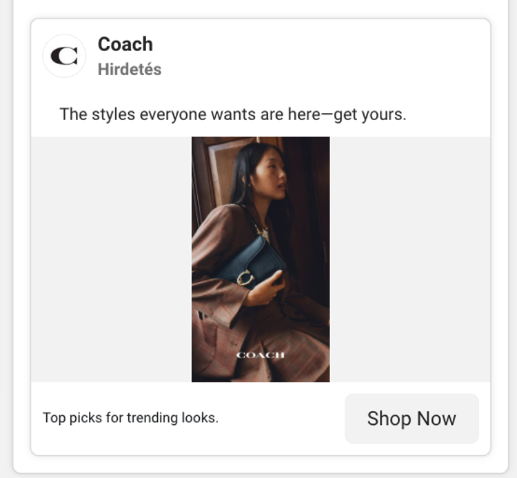 Coach Brand Marketing: Winning Strategies for Luxury, Digital Growth ...