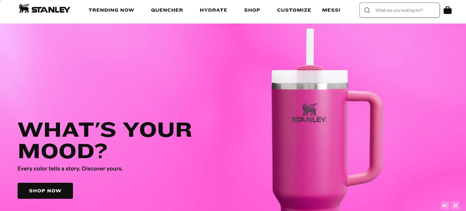 Website Headlines: 20+ Examples & Formulas That Work