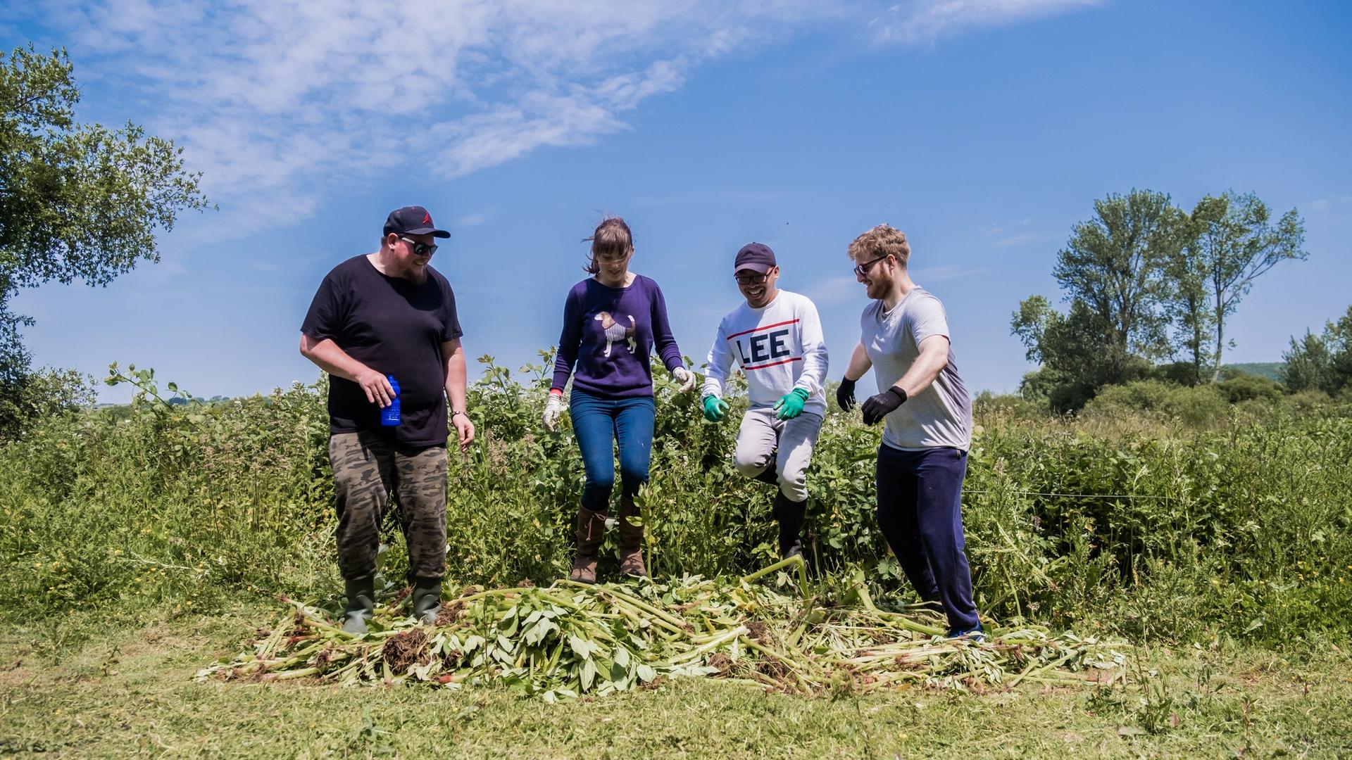 NOSY Team's Conservation Effort: Combatting Himalayan Balsam Invasion ...