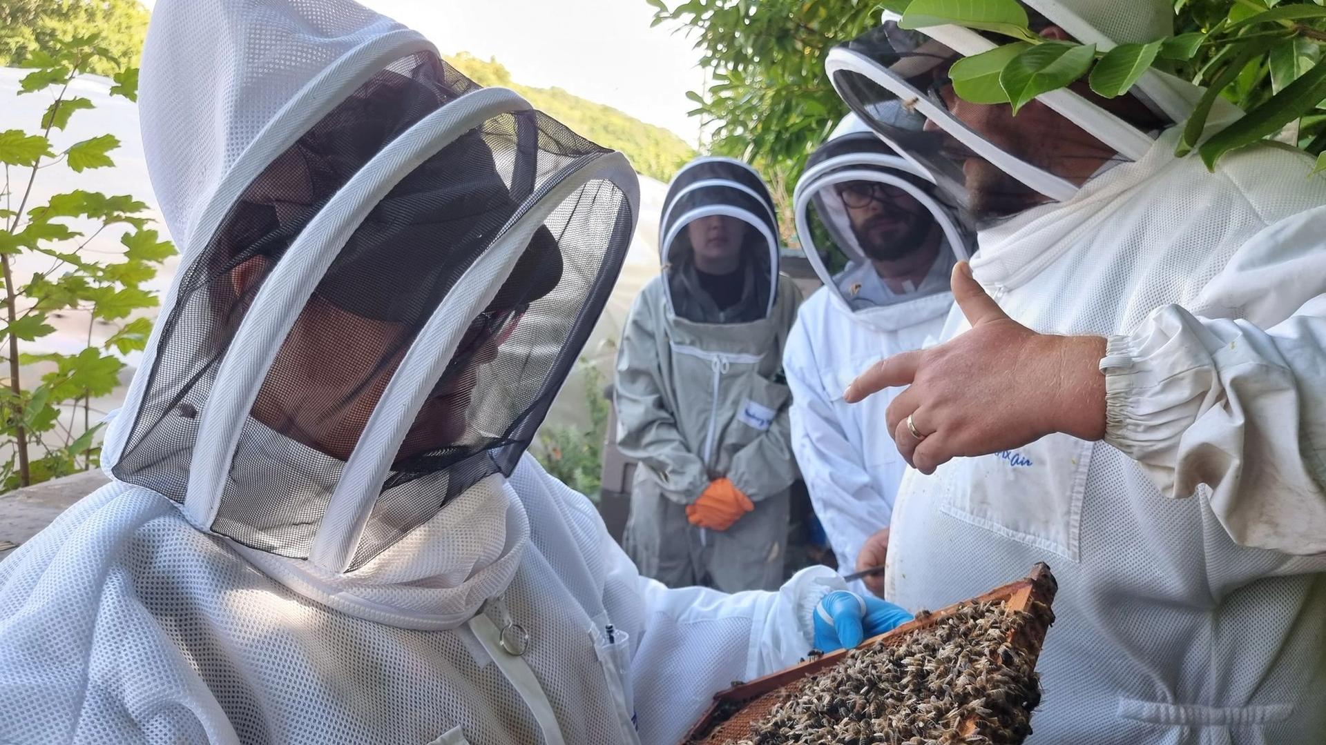 Supporting local beekeepers and bee conservation. | Blog | NOSY ...
