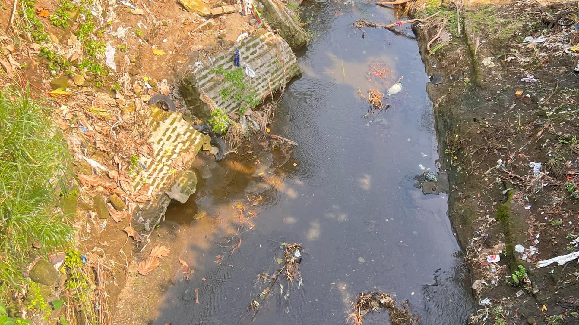 Tackling Plastic Pollution in the Philippines: A Growing Crisis | Blog ...