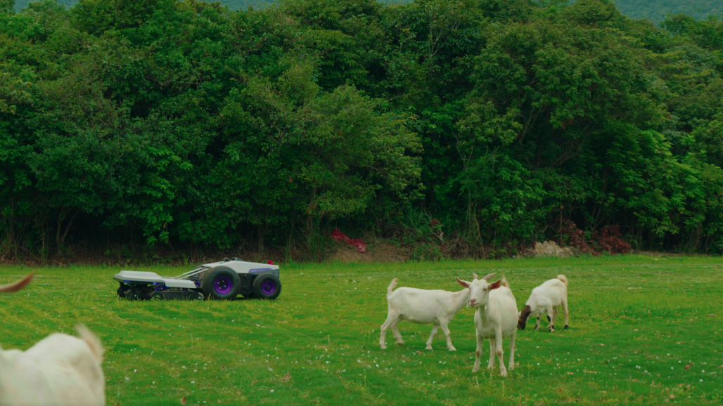 Top 7 Commercial Lawn Mower Brands to Know in 2025 | Best Pro Mowers