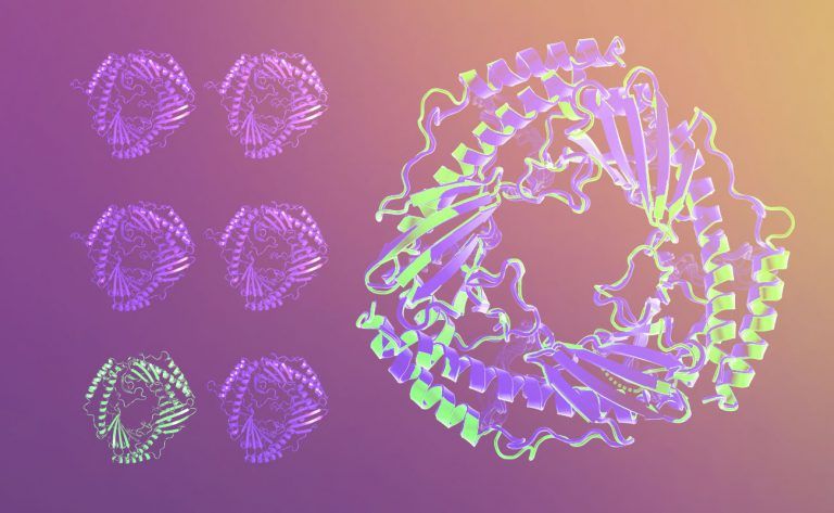 AlphaFold2, AlphaFold-Multimer, AlphaFold3