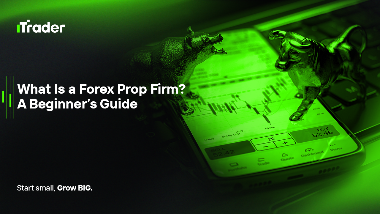 What Is a Forex Prop Firm? A Beginner’s Guide – And Why It’s the Best ...