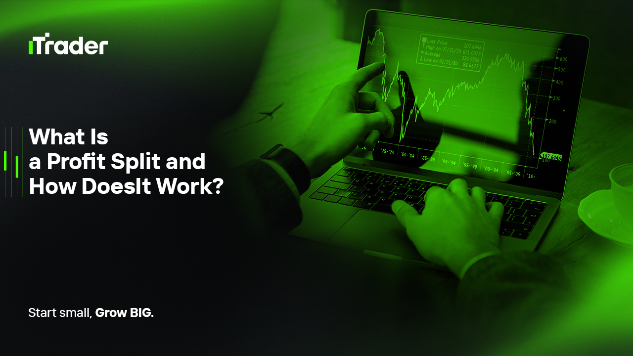 What Is a Profit Split and How Does It Work? | My Blog