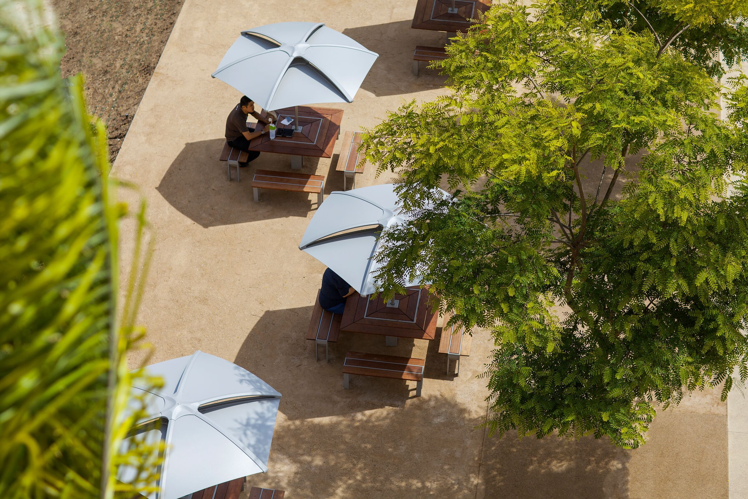 Forms+Surfaces: Cooperative Purchasing