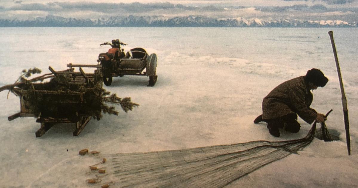 Index • Designing Natural Computers for Everyday Life