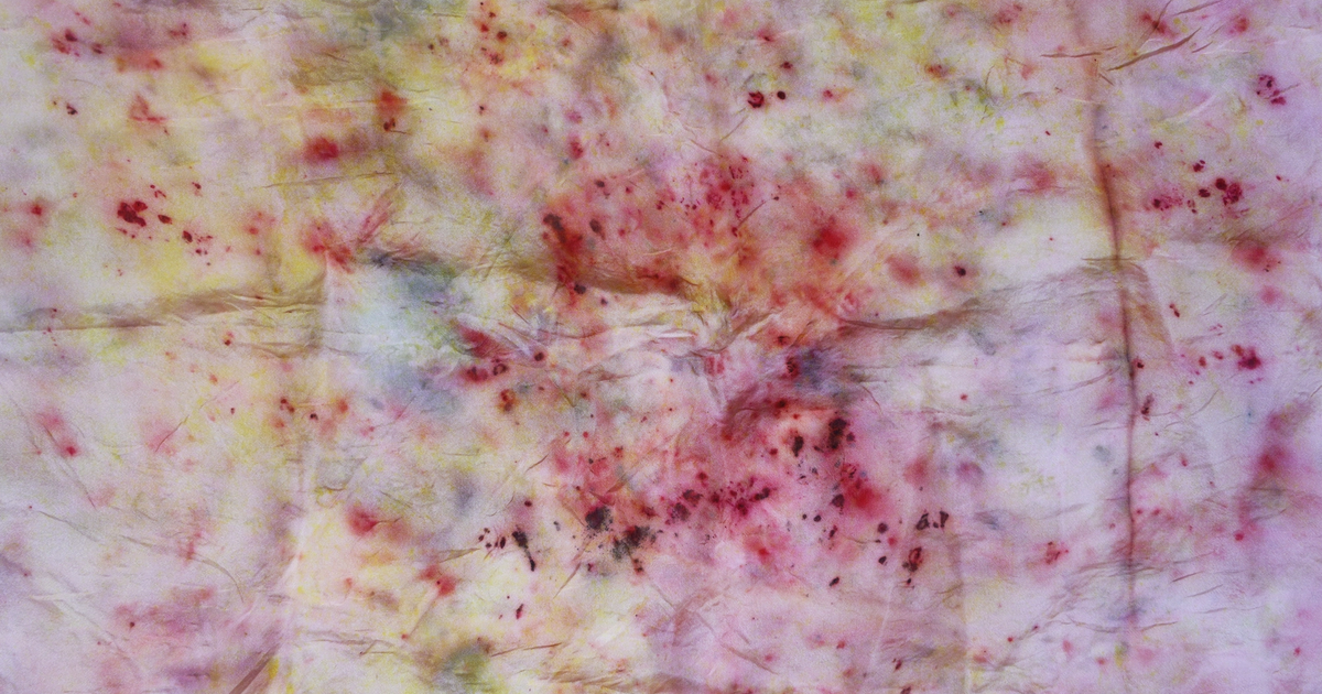 Index • Botanical Color Lab: Natural Dye with Flowers