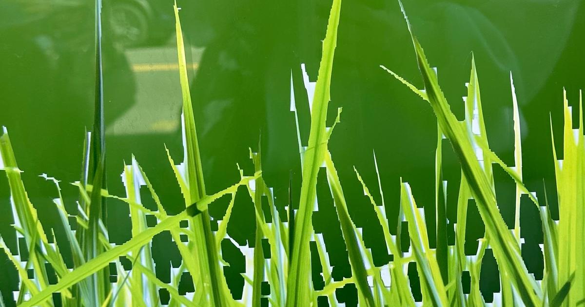 Index • Touch Grass