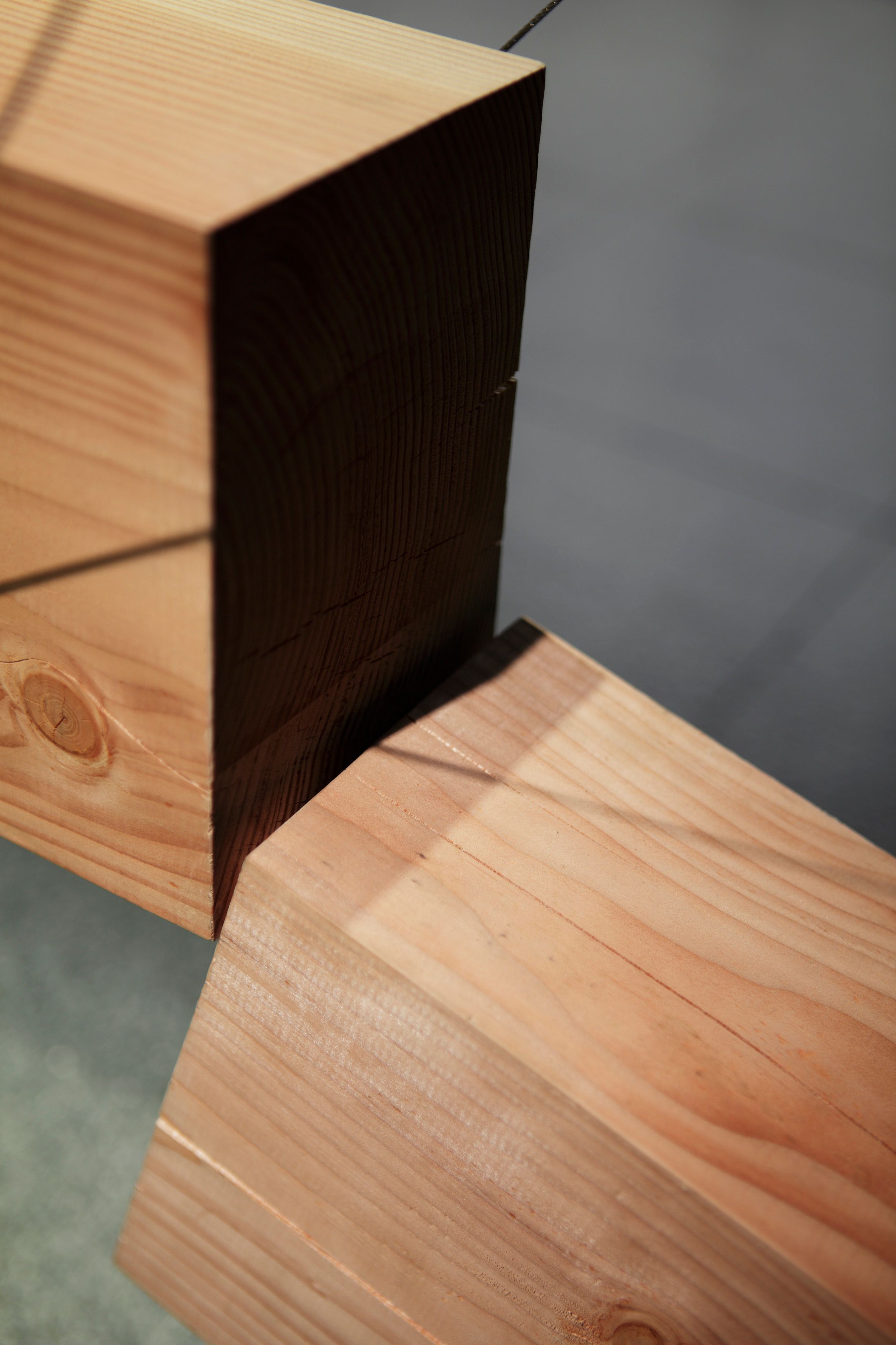 ELEMENTAL - The Forces in Architecture