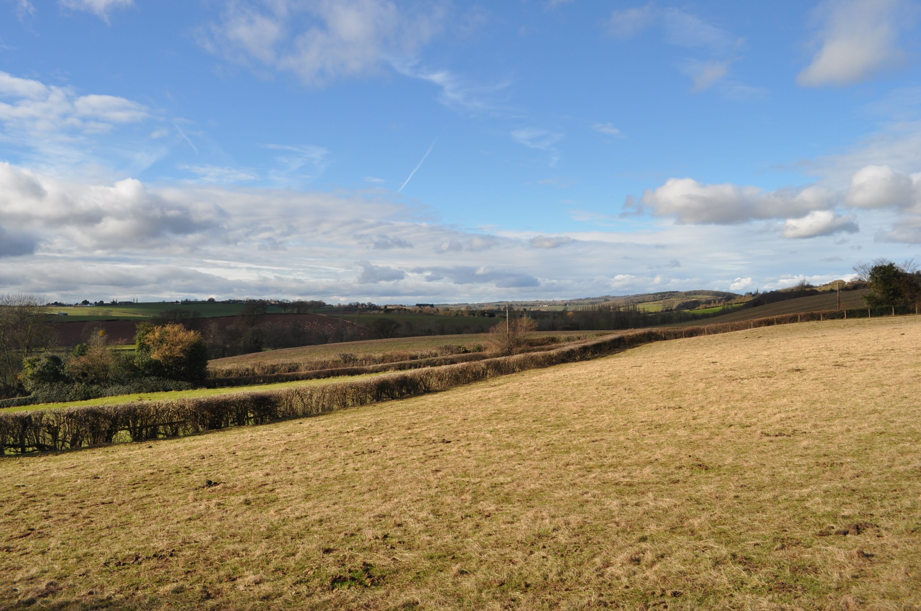 Building on Your Land | A Guide to Essential Site Surveys