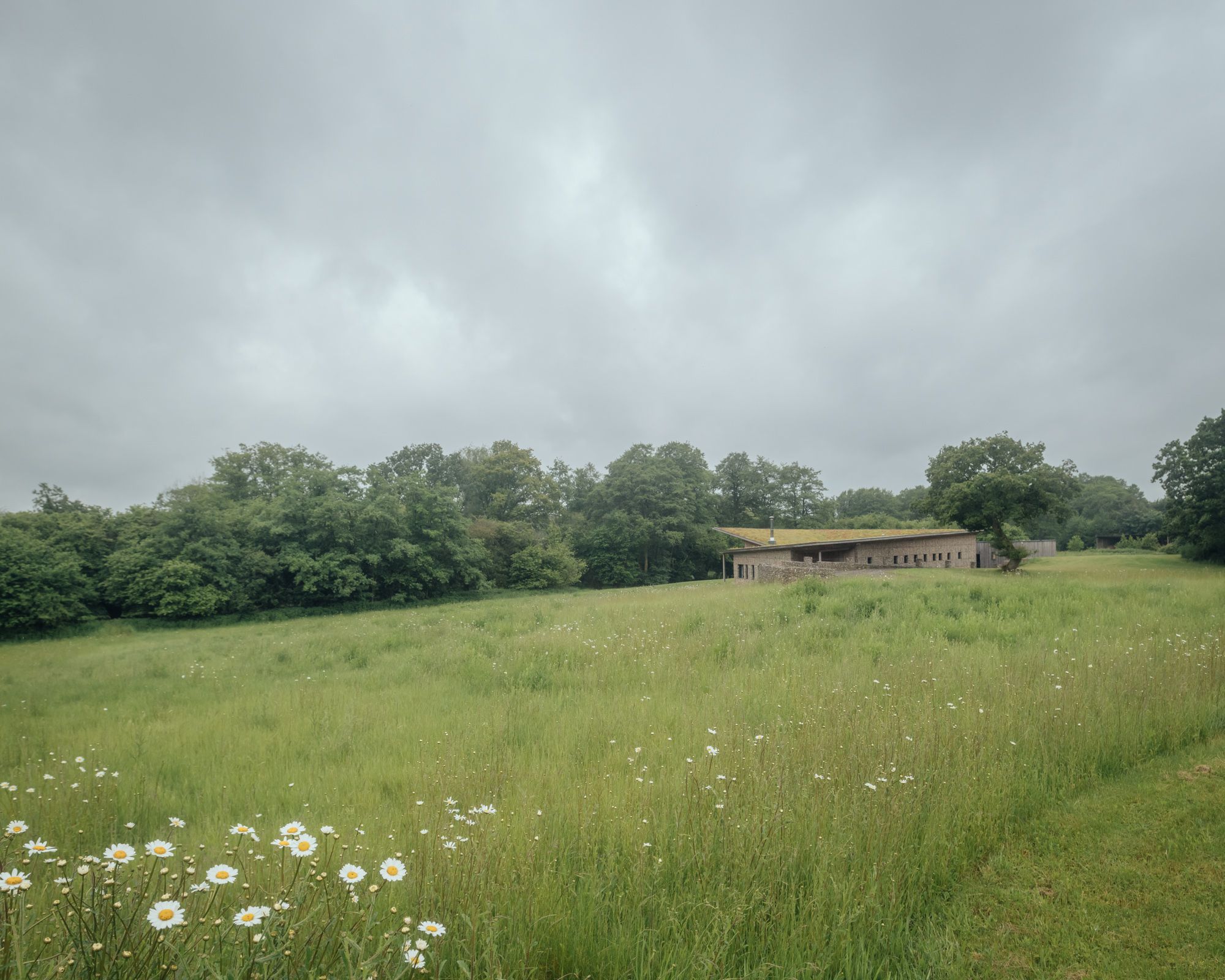 How to Build a Whole Life Zero Carbon Home | A Simple Explainer