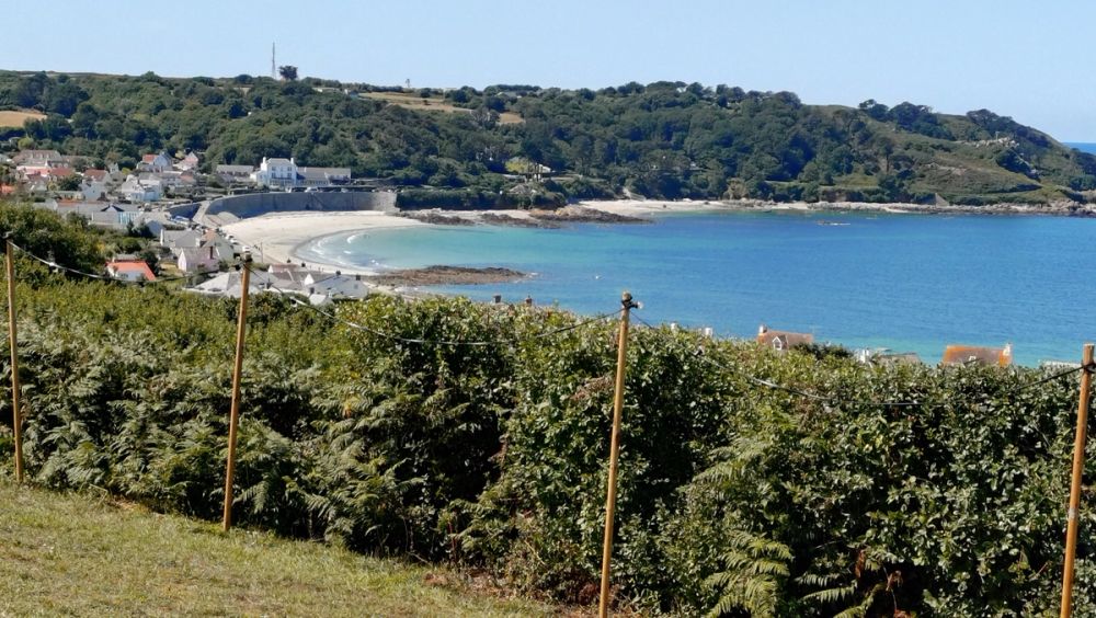 Catered by Randalls | Outside catering across Guernsey