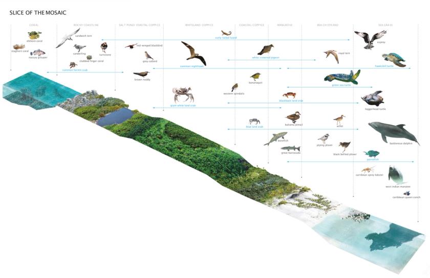 Bonds Cay Island Retreat – GRAFT