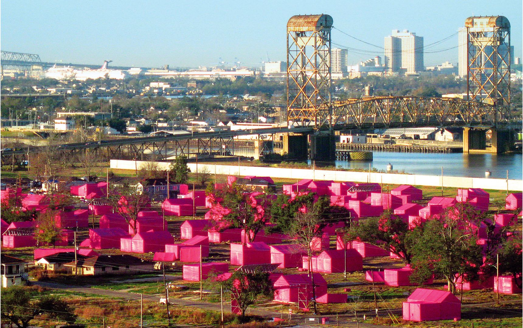 Pink Project – Graft