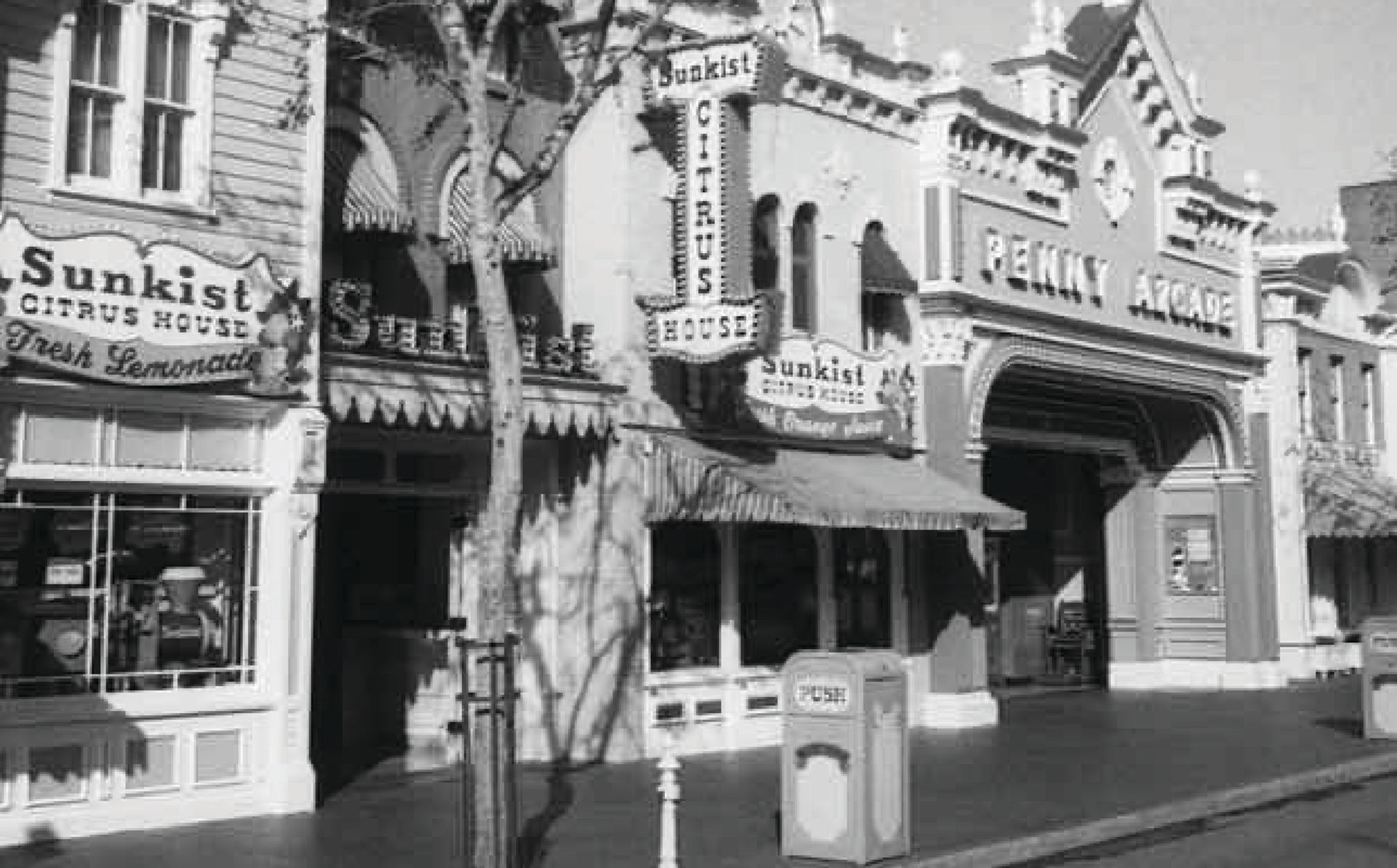 About Us | Perricone Farms