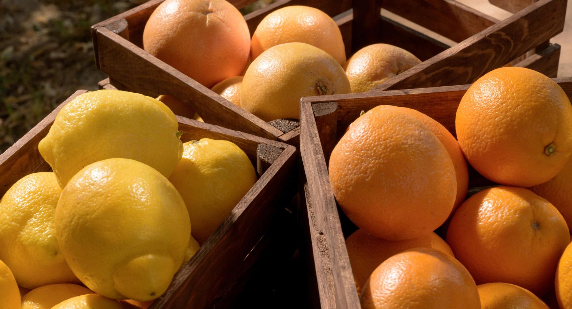About Us | Perricone Farms