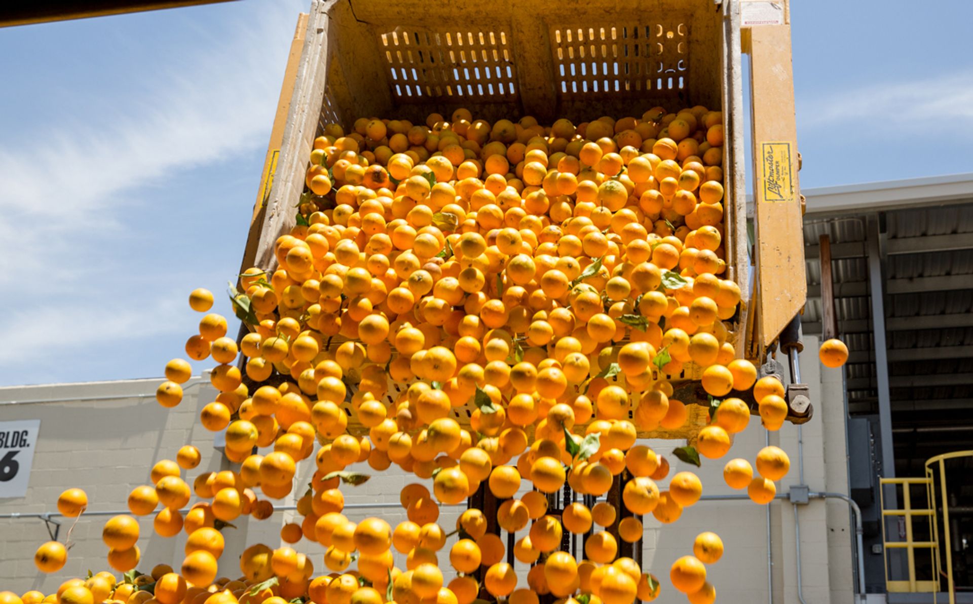 About Us | Perricone Farms