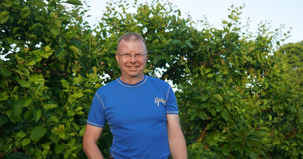 La humla suse | Klassekampen