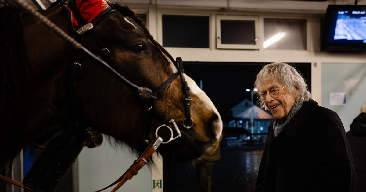 Dag Solstads guide til ... hestesport? | Klassekampen