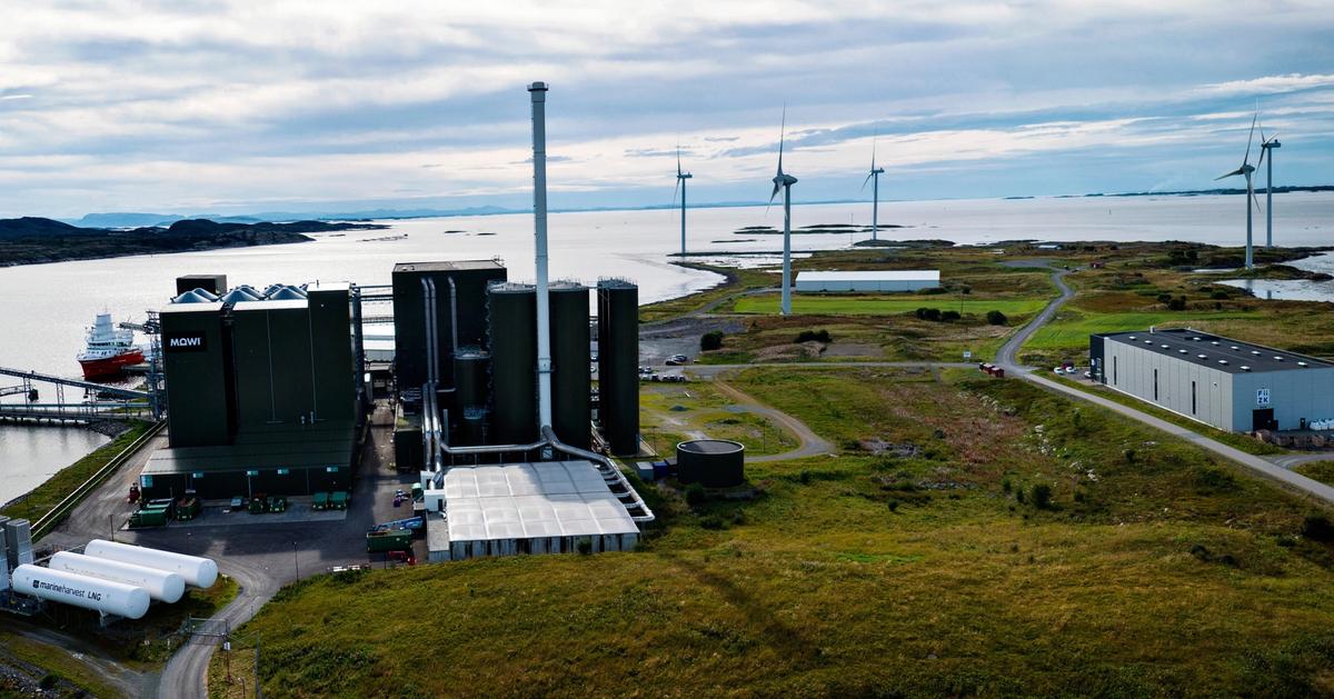 Tatt av skatten | Klassekampen