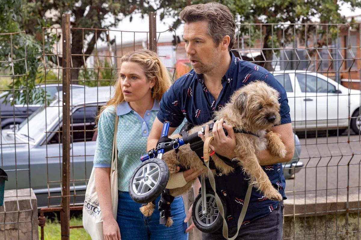 Melding: «Den sorte svane» landar i den nordiske andedammen for å ...