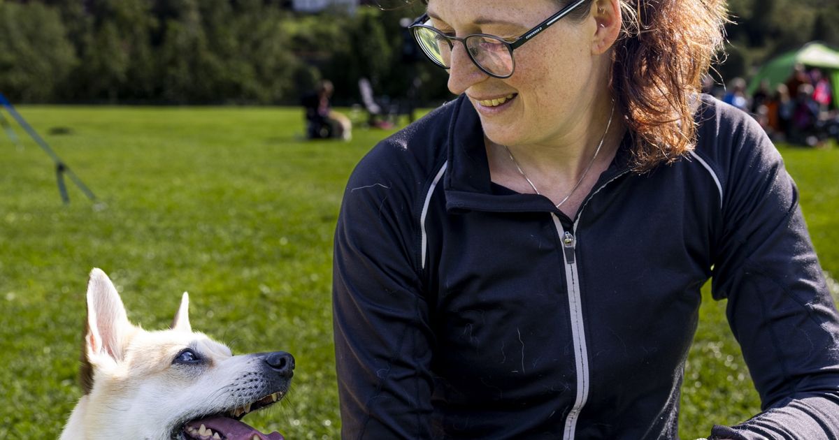 En hund etter konkurranser | Klassekampen