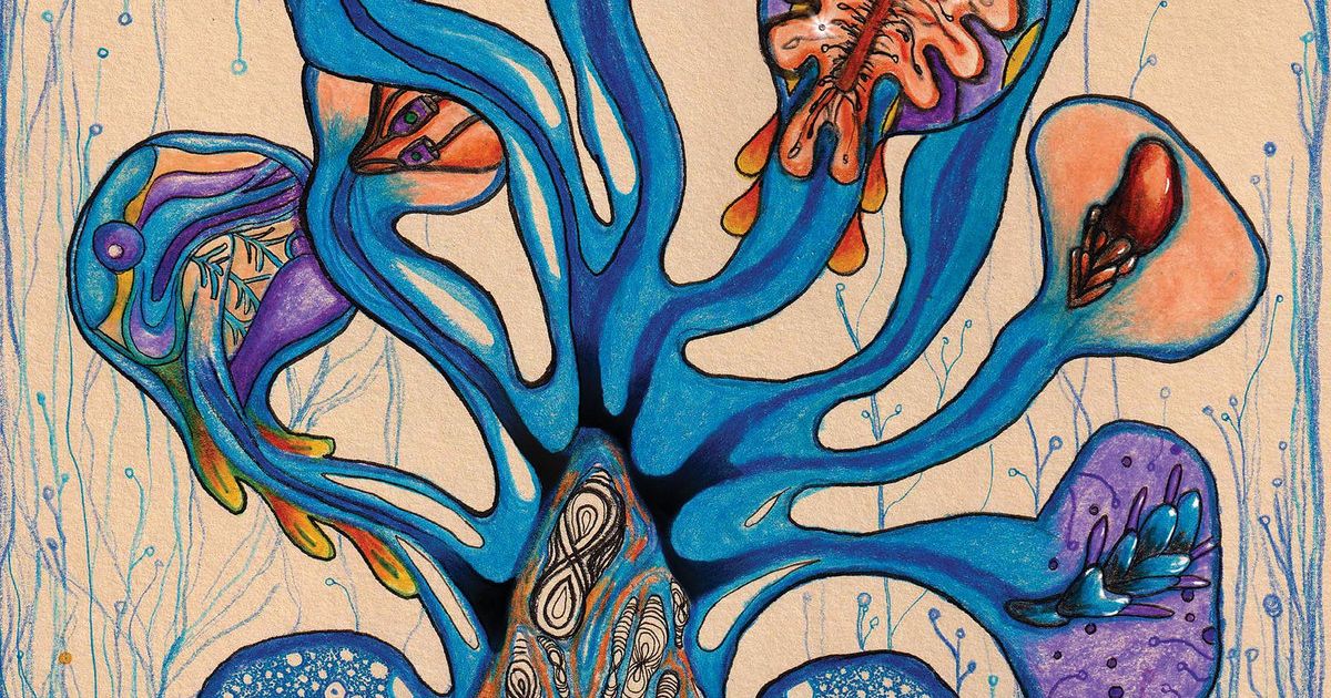 Der de største elvene renner | Klassekampen