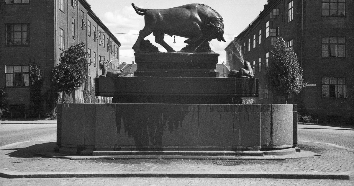 Frk. Borgfelts okse | Klassekampen