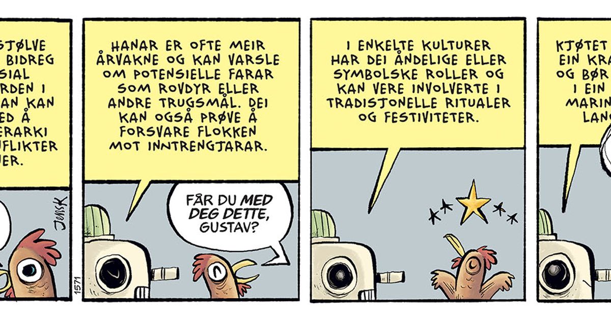 Dunce | Klassekampen