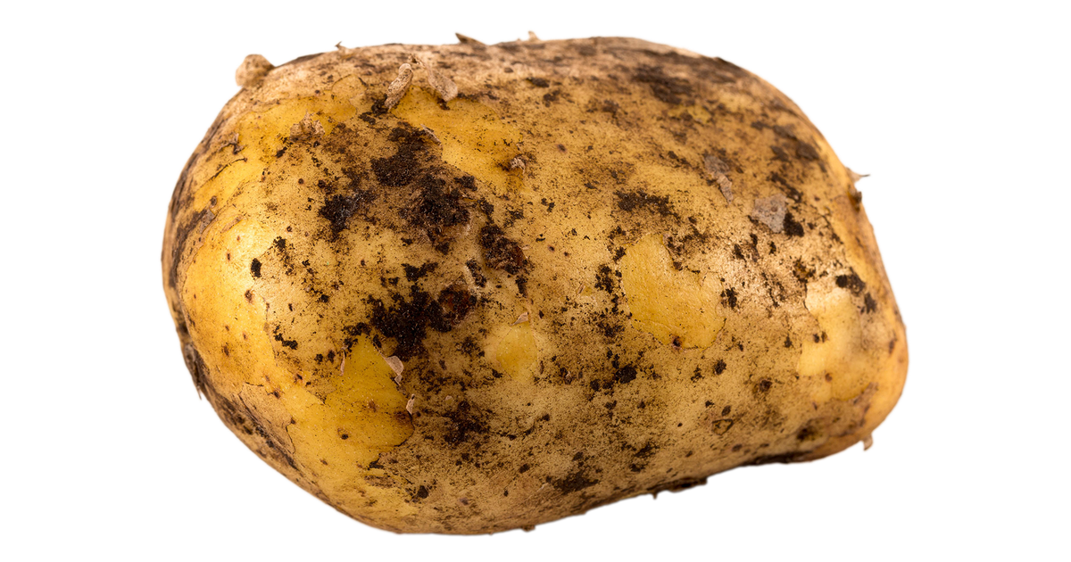 Av jord er du kommet | Klassekampen