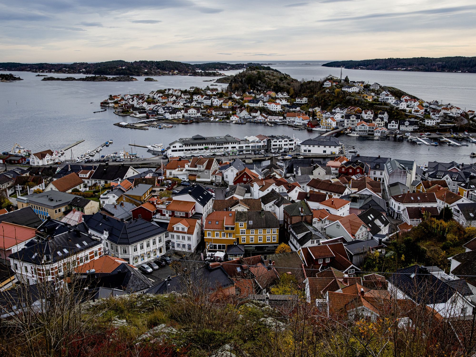 Selma Stormyren Larsen | Klassekampen
