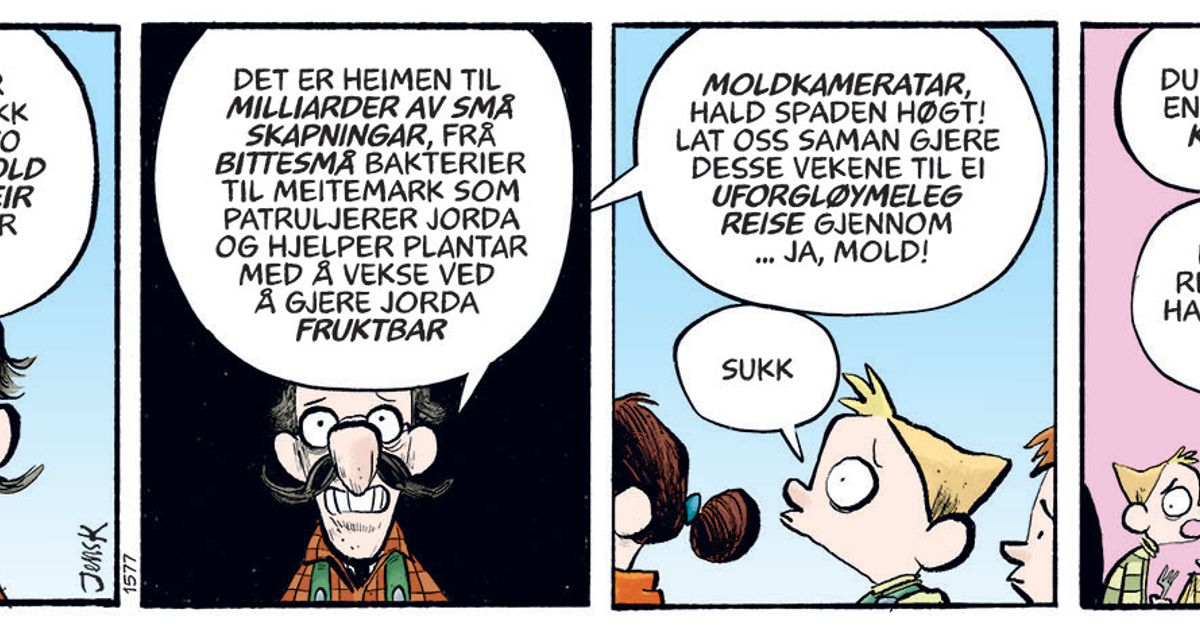 Dunce | Klassekampen