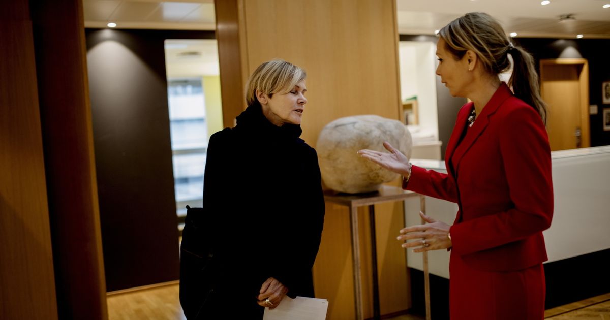 «Danflix» skal ta Netflix | Klassekampen