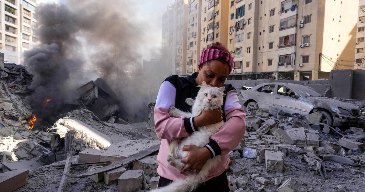 Israel føler seg tryggere med krig enn med fred. Krig er Israels ...