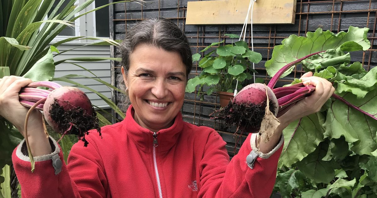 Kurerer skattegruff i hagen | Klassekampen