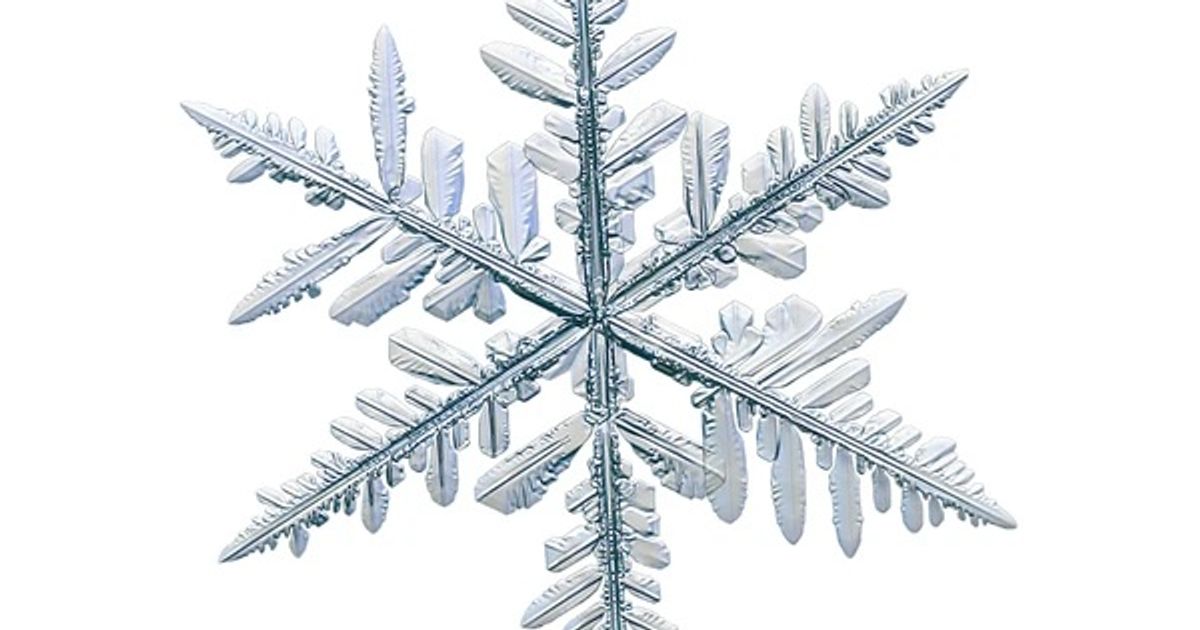 Snøfnugg | Klassekampen