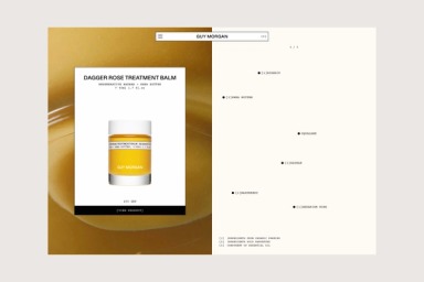 Guy Morgan | 1/1 Studio