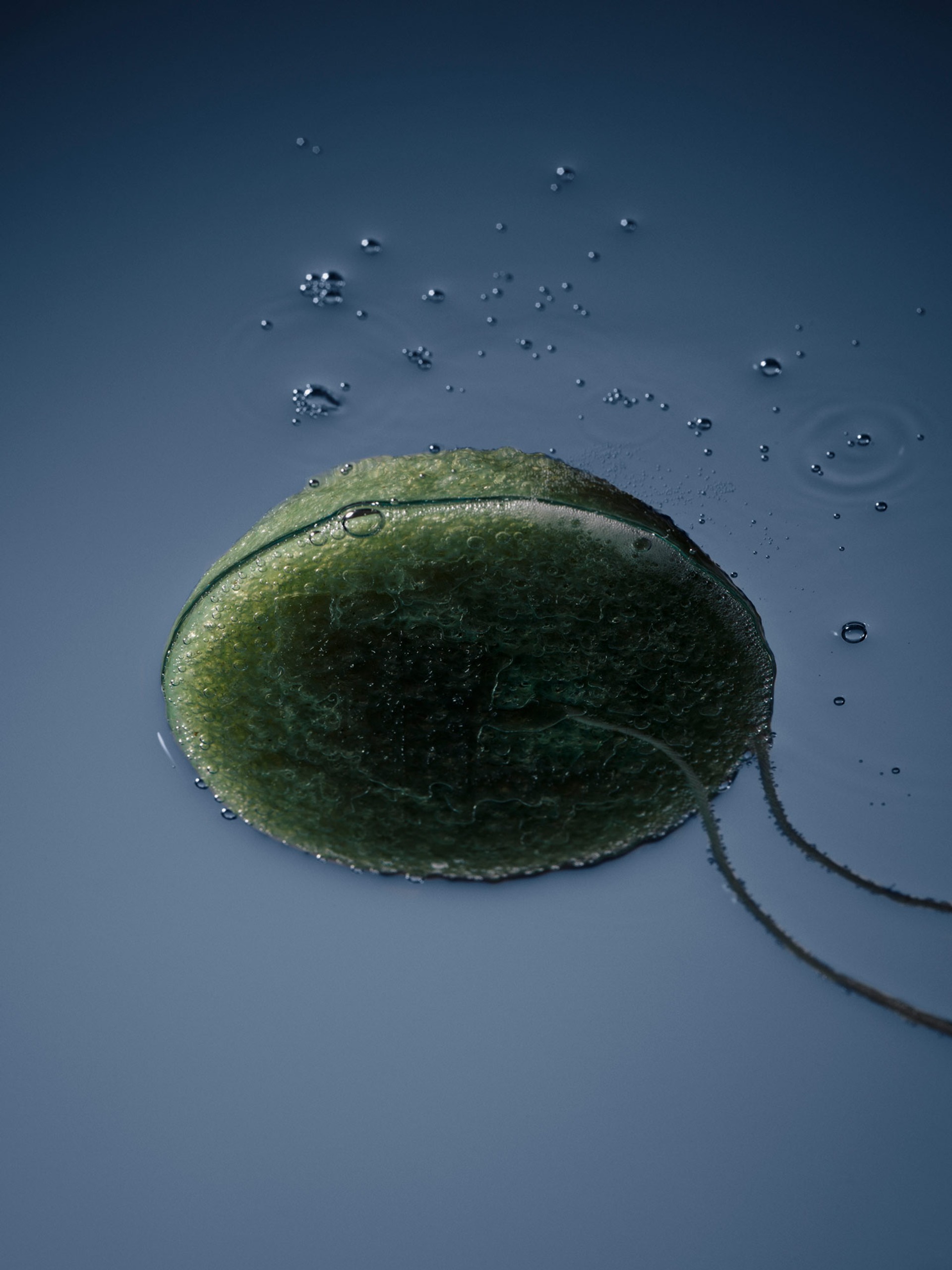 Guy Morgan | 1/1 Studio